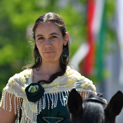 Laupheimer Heimatfest 2025 - Laupheimer Fotokreis e.V.